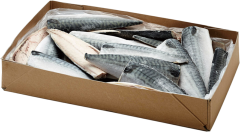 Mackerel Fillet | KYOKUYO EUROPE B.V.